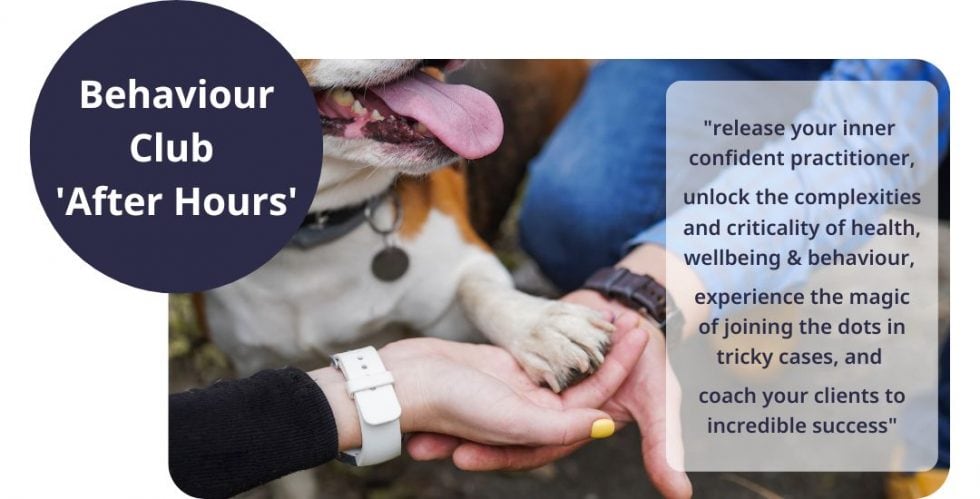 Professionals – Behaviour Club ‘After Hours’ | Canine Thinking